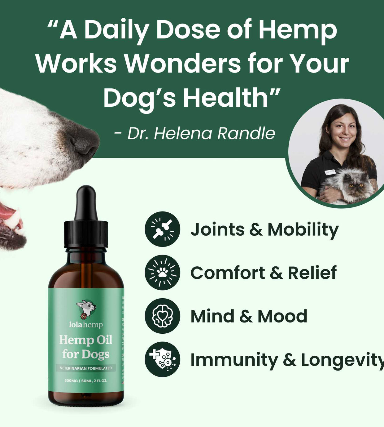 CBD for Dogs Medication Interactions | Guide & List – Lolahemp
