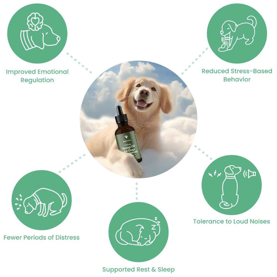 Calming CBD Oil for Dogs | Hemp, Chamomile, & L-Theanine – Lolahemp