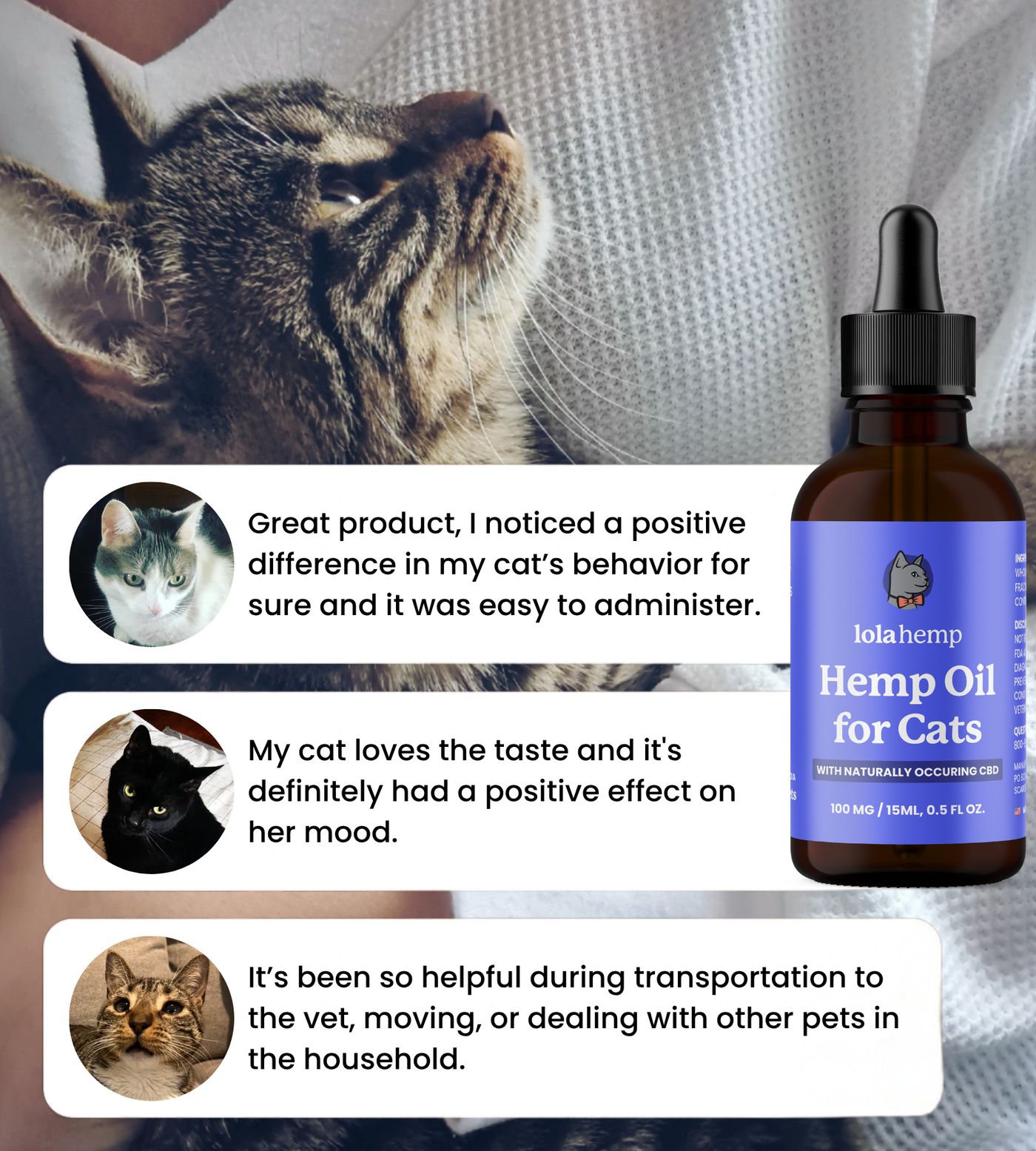 Valerian for Cats | Understanding The Calming Benefits – Lolahemp