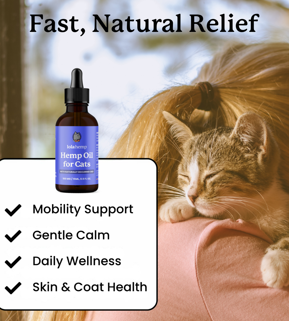 Valerian for Cats | Understanding The Calming Benefits – Lolahemp