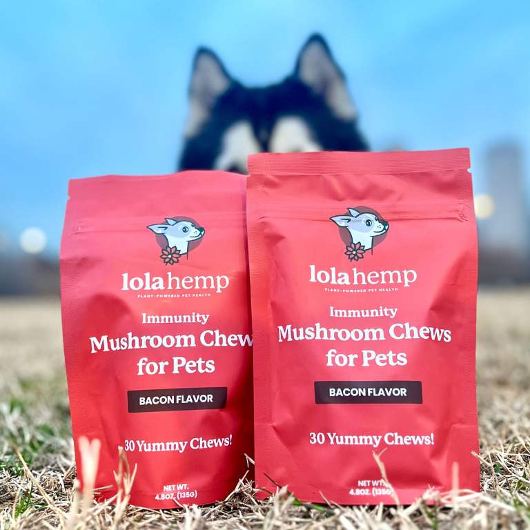 Immunity Mushroom Chews for Dogs | Turkey Tail, Reishi, Lion's Mane ...